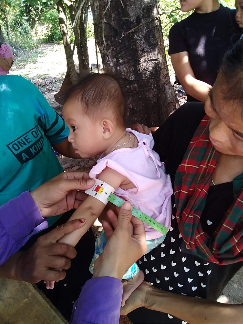 調査･研究 - 特定非営利活動法人ISAPH