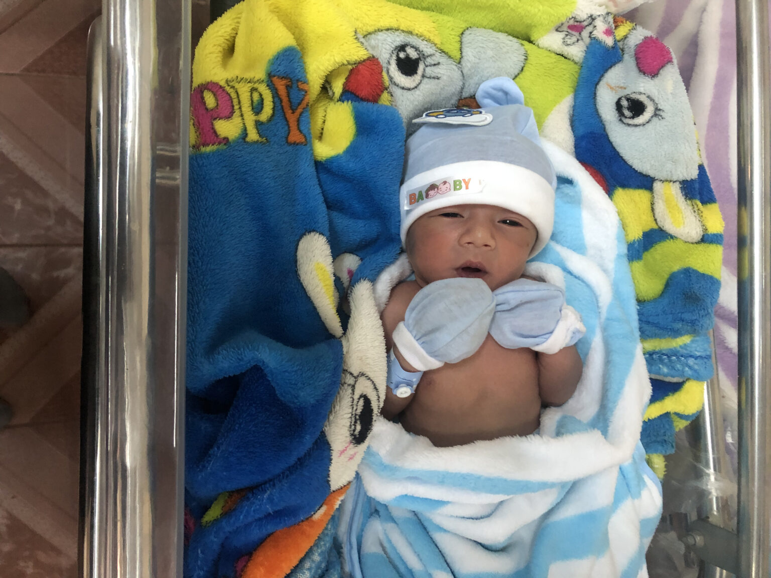 iサイクル寄付金運用報告（2023年度）および寄付金運用計画（2024年度） - 特定非営利活動法人ISAPH